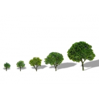immitari.com - Scale Trees
