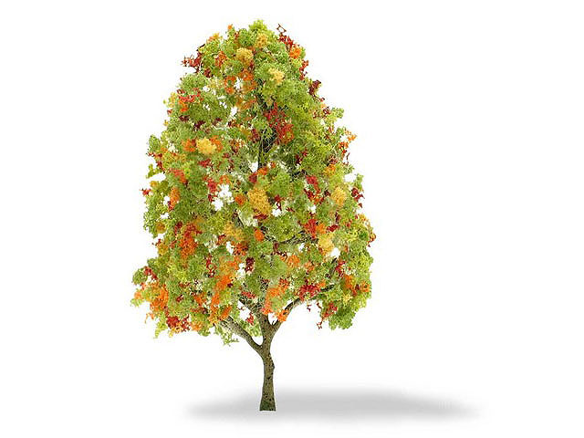 immitari.com - Scale Trees