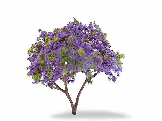 immitari.com - Scale Trees