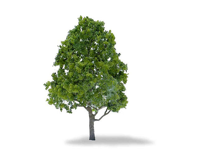 immitari.com - Scale Trees