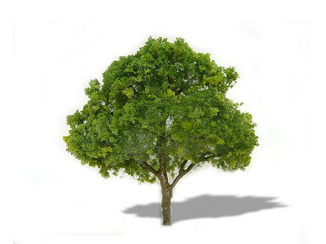 immitari.com - Scale Trees